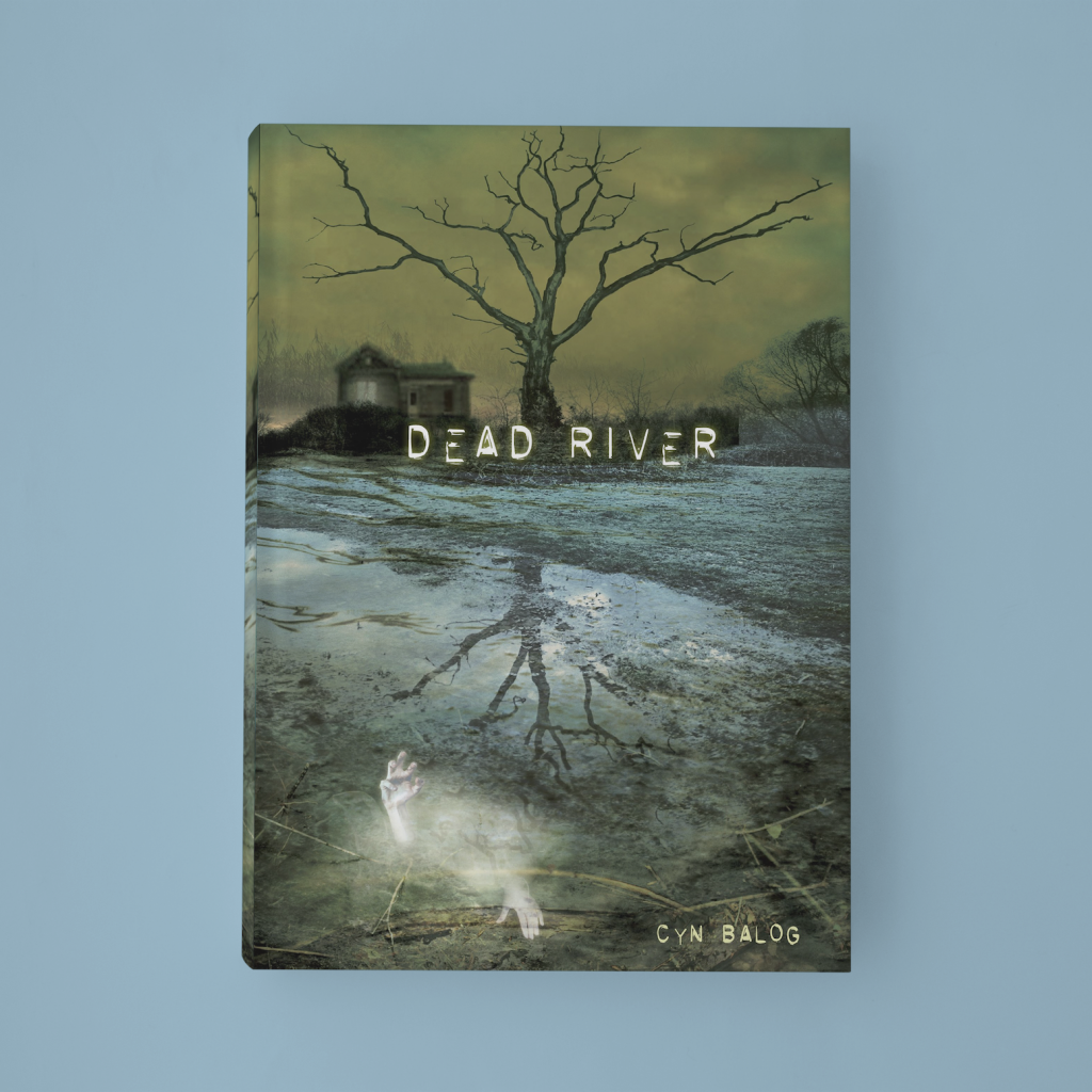 Cyn Balog | Ghostwriter | YA Fiction Writer | Writing Coach | CynBalog.com